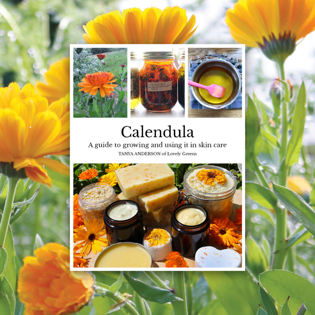 Calendula A Guide to Growing & Using it in Skin Care (Ebook)